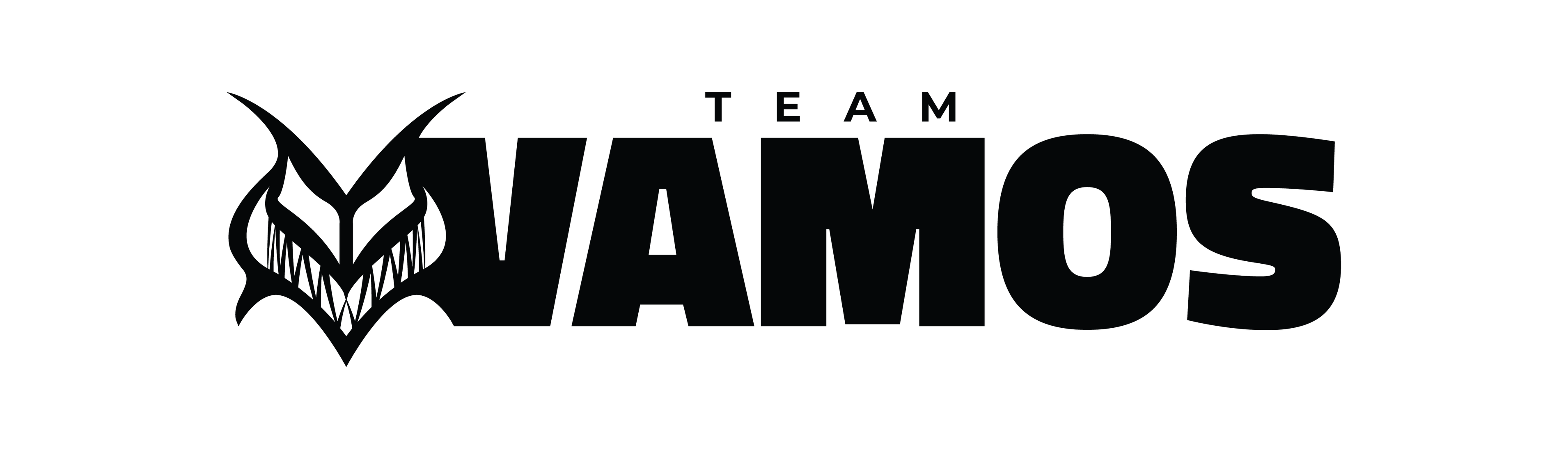 News – Team Vamos